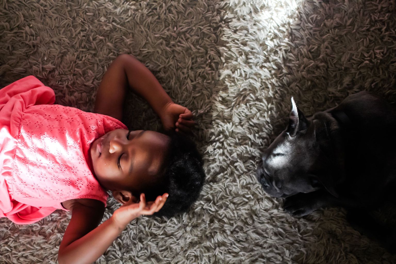 8 Lessons Pet Ownership Can Teach Your Child | FitBark