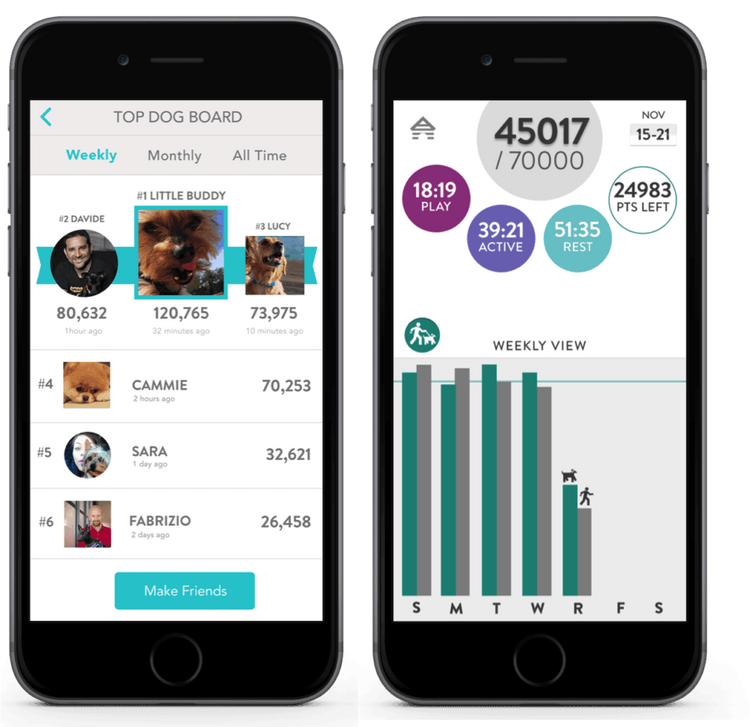 FitBark and Fitbit team up to get dogs and their humans healthy ...