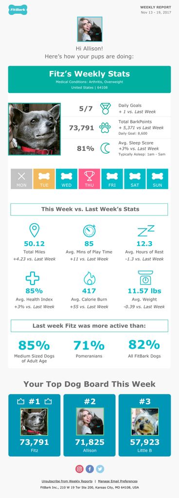 Introducing Historical Views and Weekly Email Report | FitBark