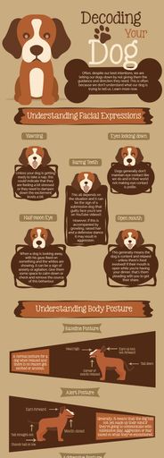 Decoding Your Dog | FitBark