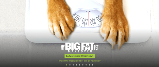 FitBark and Animal Planet team up to launch My Big Fat Pet Makeover ...