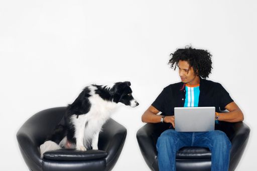 FitBark announces world's first Health & Lifestyle Canine API | FitBark