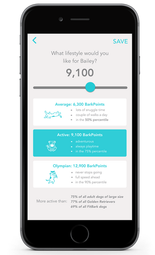 How much exercise does my dog really need? | FitBark