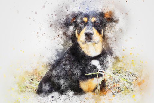 7 Reasons Why You Should Have Pet Portraits of Your Dogs | FitBark