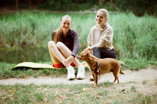 Best Exercises to Keep You and Your Dog Fit | FitBark