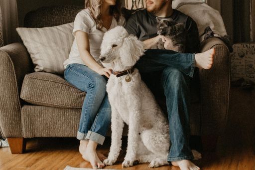 4 Reasons Why You Should Have a Pet in Your House | FitBark
