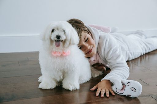 6 Great Tips for First Time Dog Owners | FitBark