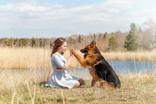 5 Life Lessons We Can Learn From Dogs | FitBark