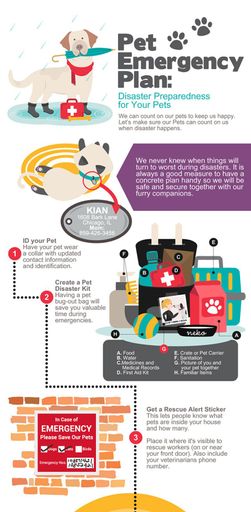 Pet Emergency Plan: Disaster Preparedness for Your Pets | FitBark
